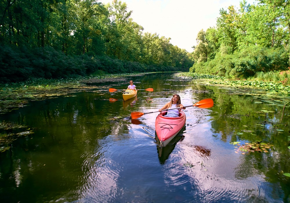 Chili Zone – The Elysian Fields